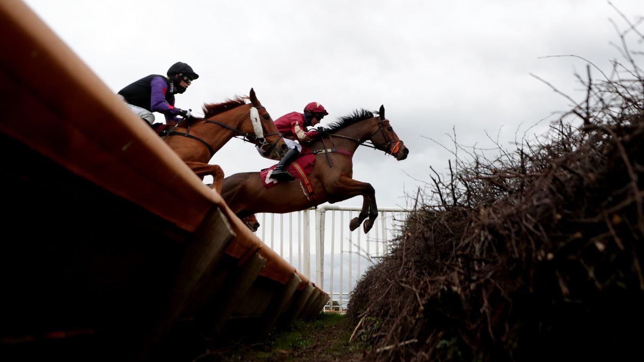 Nicky Martin to bide her time with stable star Bear Ghylls