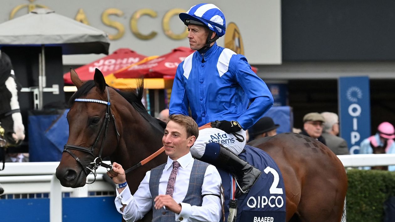 The importance of Baaeed to the Shadwell team as he heads to Nunnery Stud