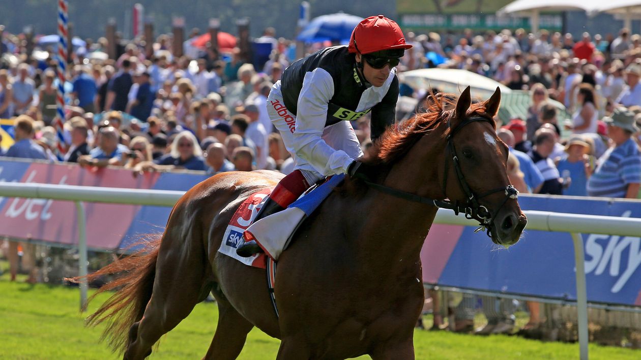 Free racing tips: Anita Chambers previews Sunday's meetings in the UK ...