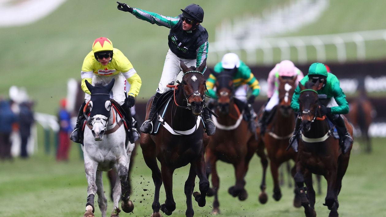 Remembering the great Altior and his four wins at the Cheltenham Festival
