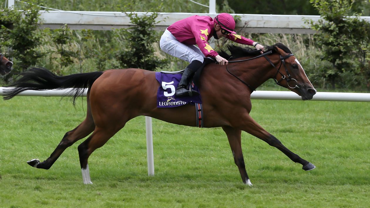 Fran Berry: Nights at the price | Free betting preview and tips Curragh ...