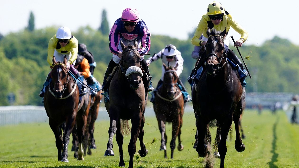 Royal Ascot latest: Wathnan Racing strengthen sprint squad