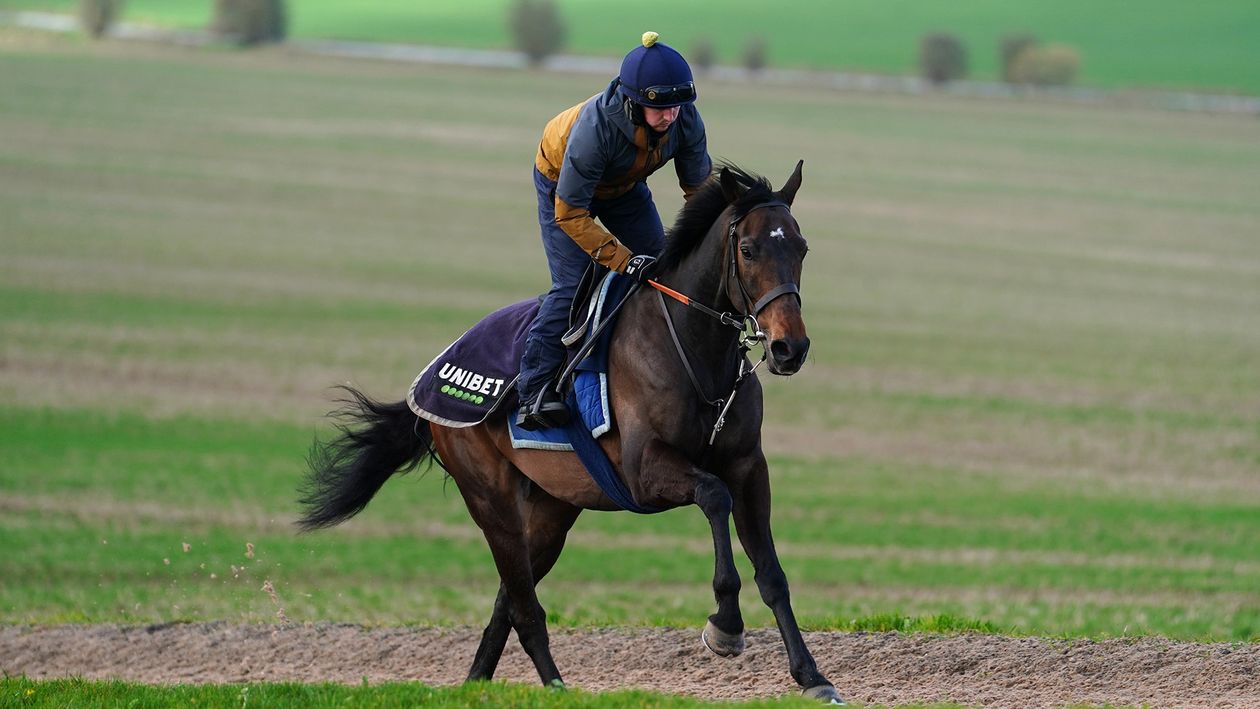 'Slinkier' Constitution Hill delights trainer Nicky Henderson at ...