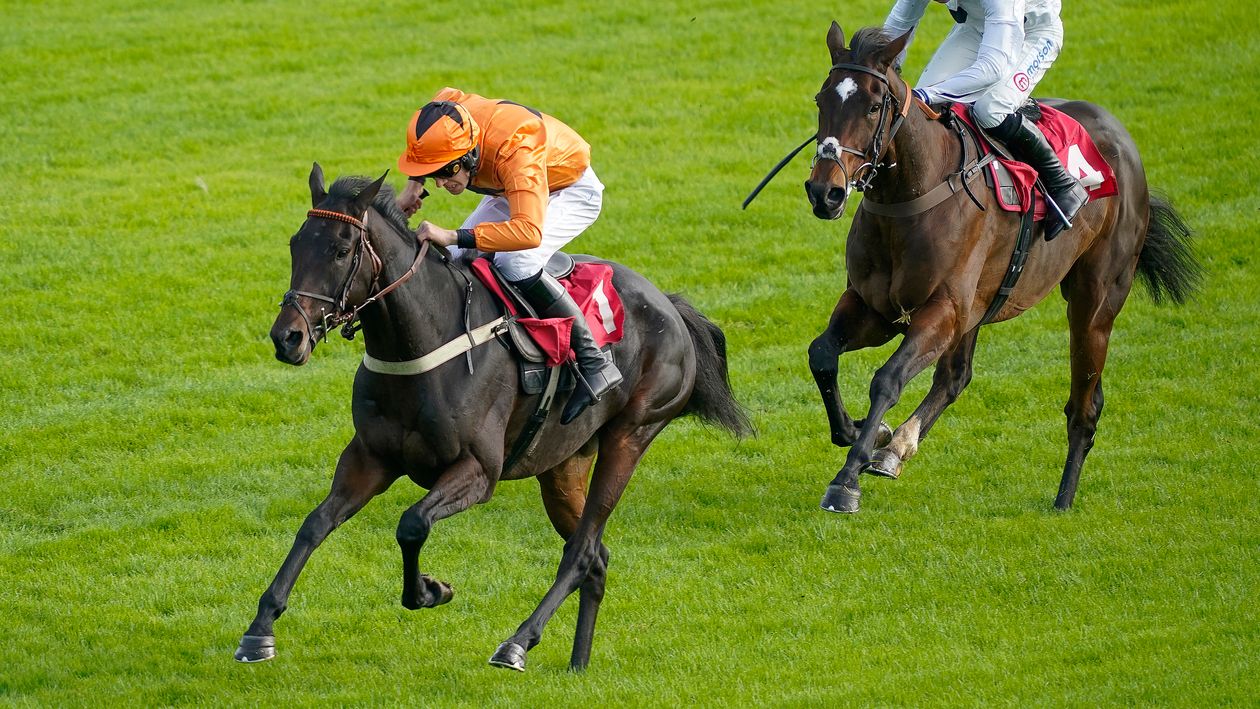 Kempton Park review: Balko Saint shines brightest of all