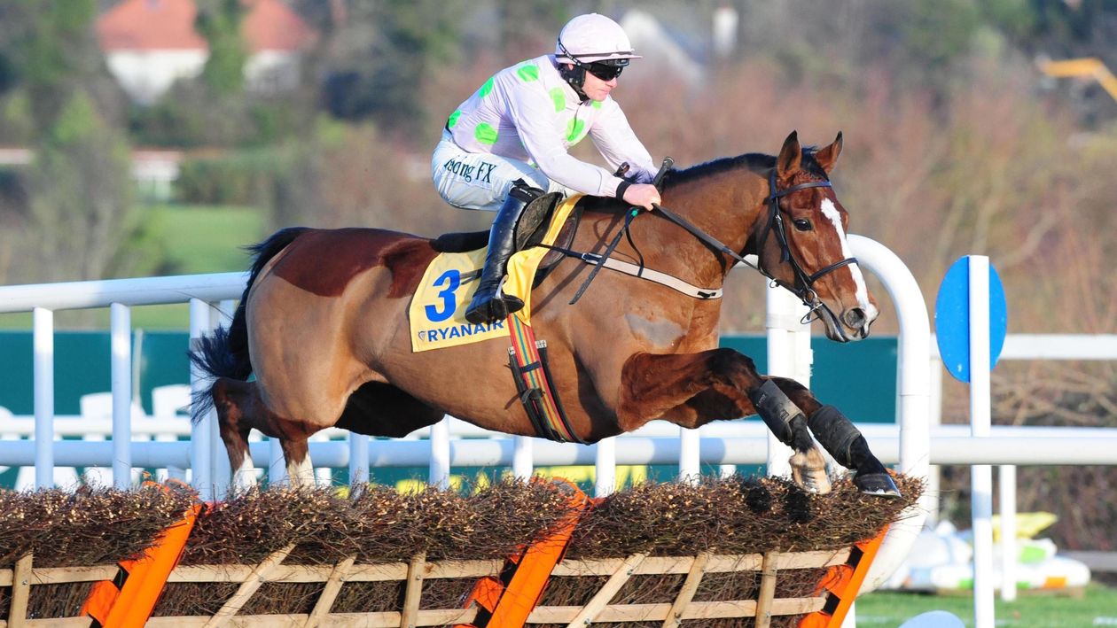 Irish Champion Hurdle 'back on the radar' for Faugheen
