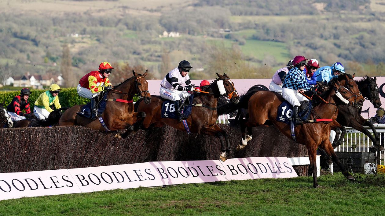 Soft ground anticipated for start of 2024 Cheltenham Festival