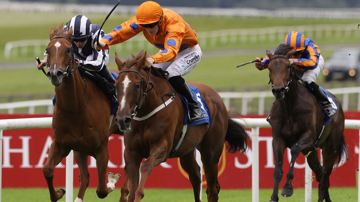 Timeform ratings | three improvers with the Large P symbol