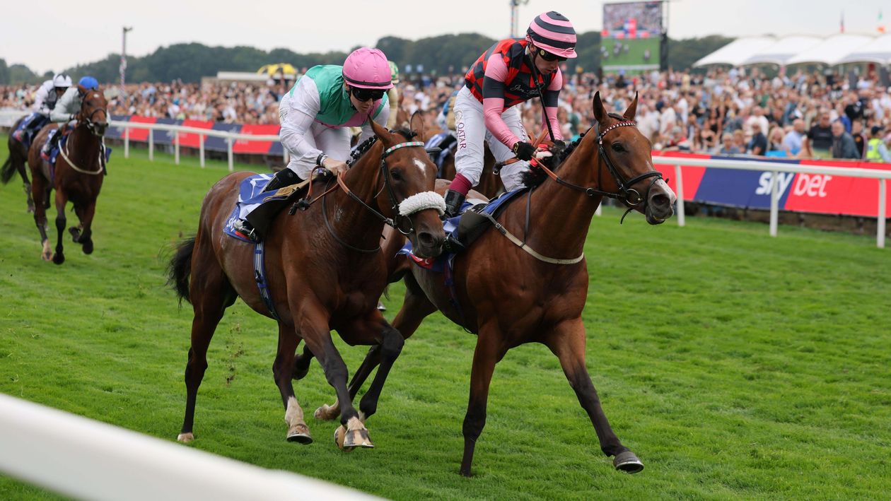 Live racing blog: Trackside Live updates from the Sky Bet Ebor Festival ...