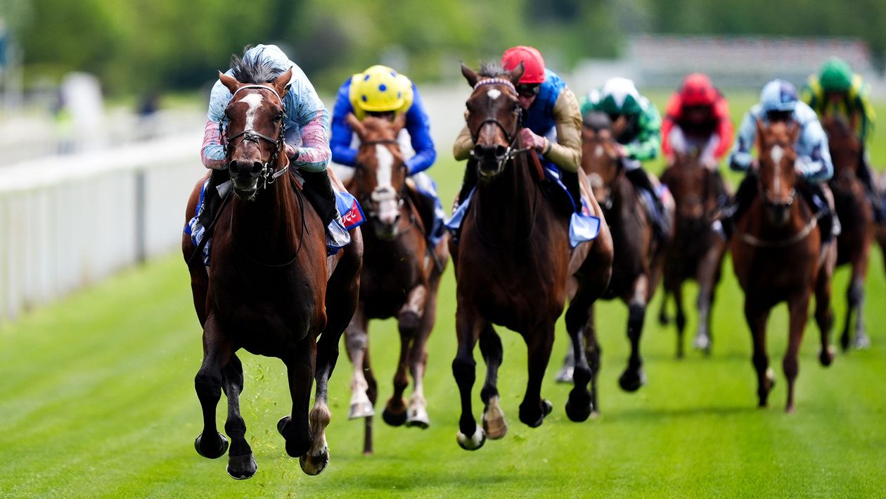 Live racing blog recap: Trackside Live updates from the Dante Festival ...