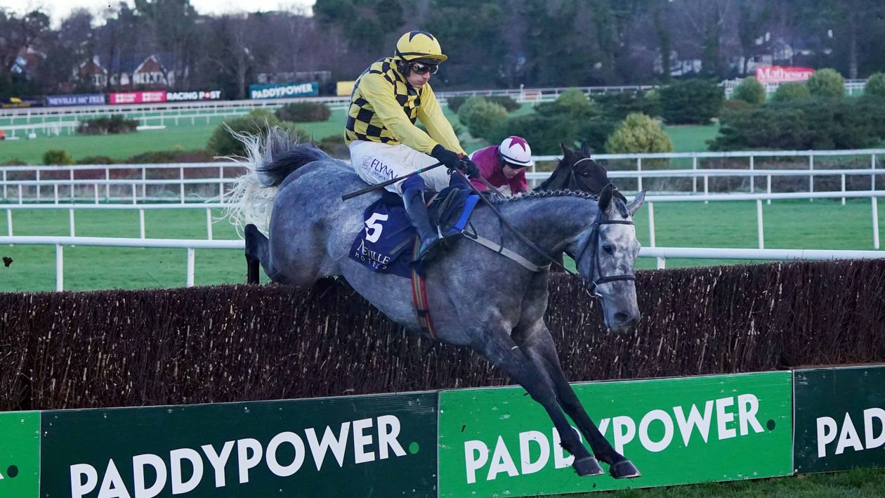 Cheltenham Festival Specials Tips: Top jockey, winning distances and more