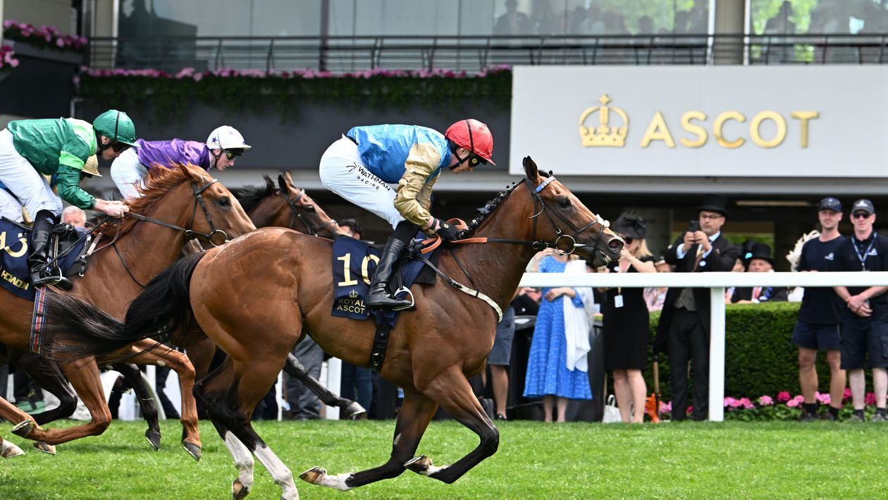 Royal Ascot review: David Ord on the rise of Wathnan Racing