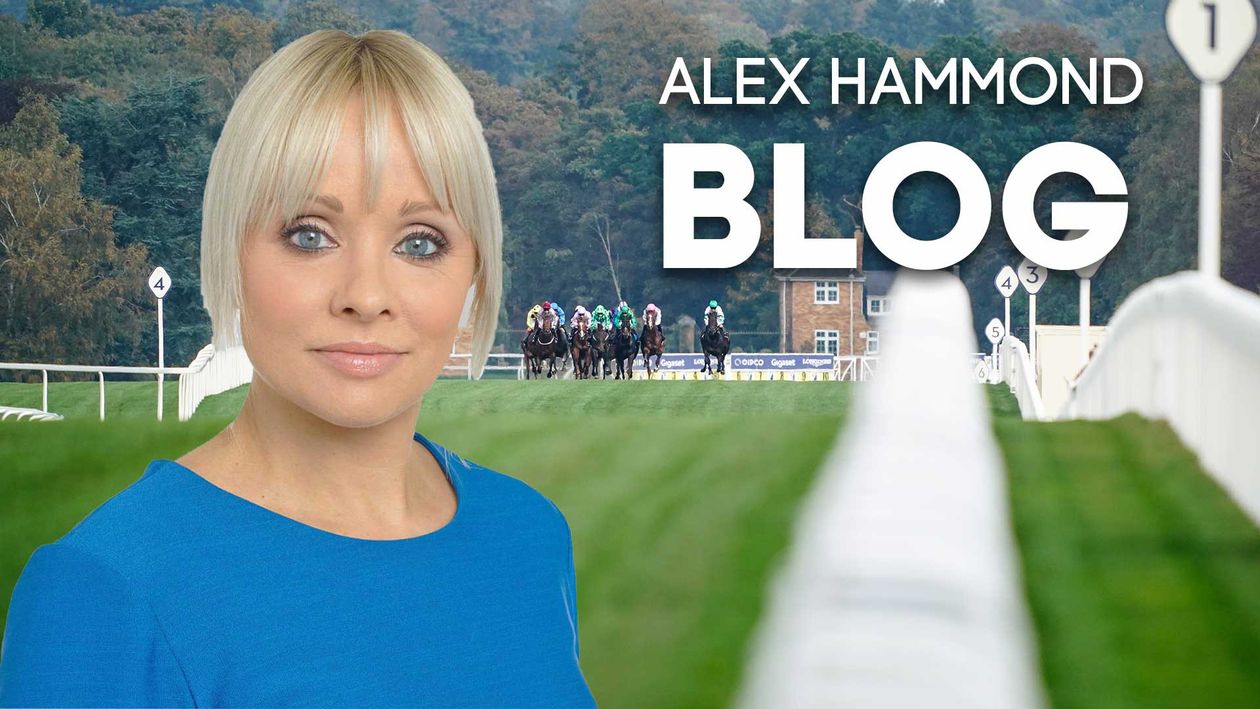 Alex Hammond previews Saturday's QIPCO British Champions Day at Ascot