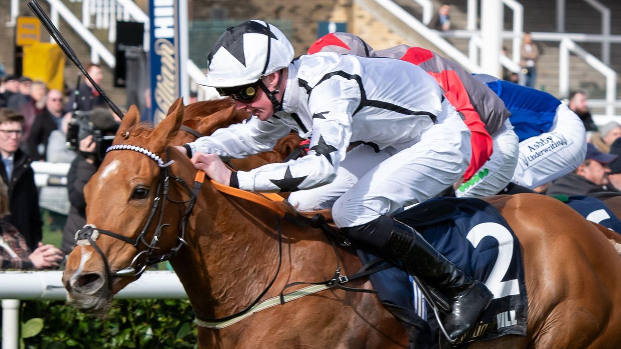 Six sires to note on heavy ground in the early weeks of the turf season