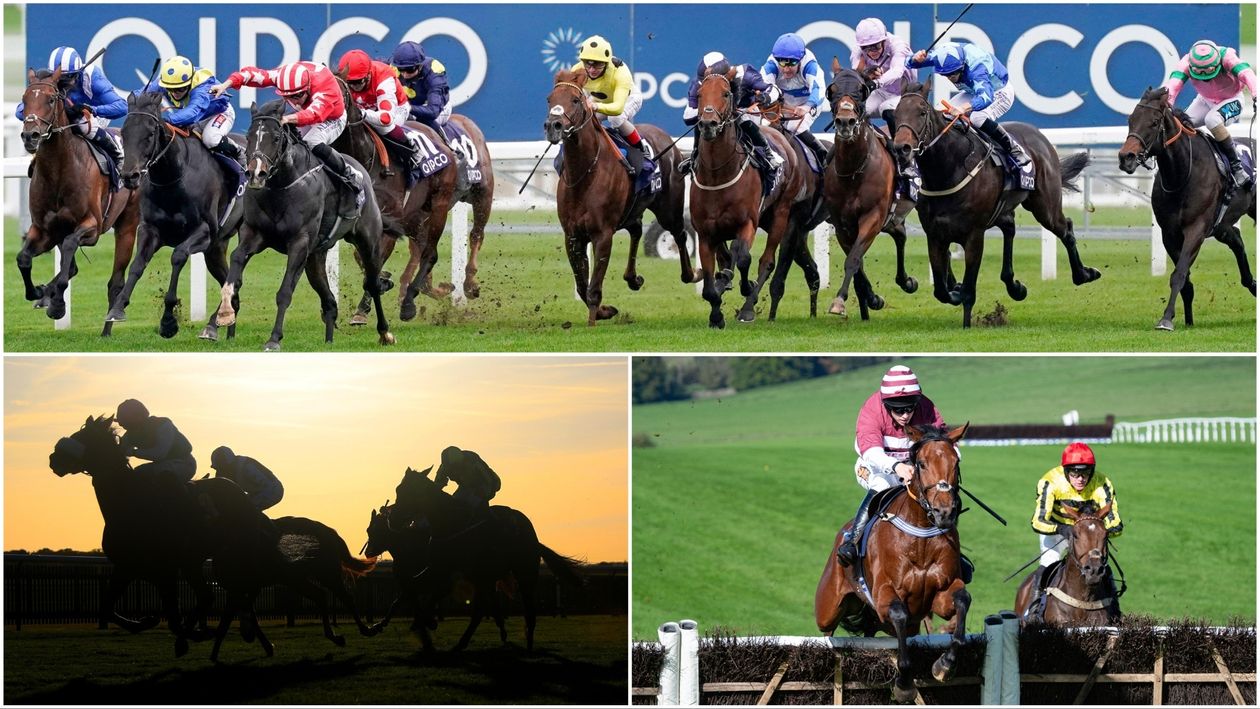 Betting tips and how to make it pay punting on racing in autumn