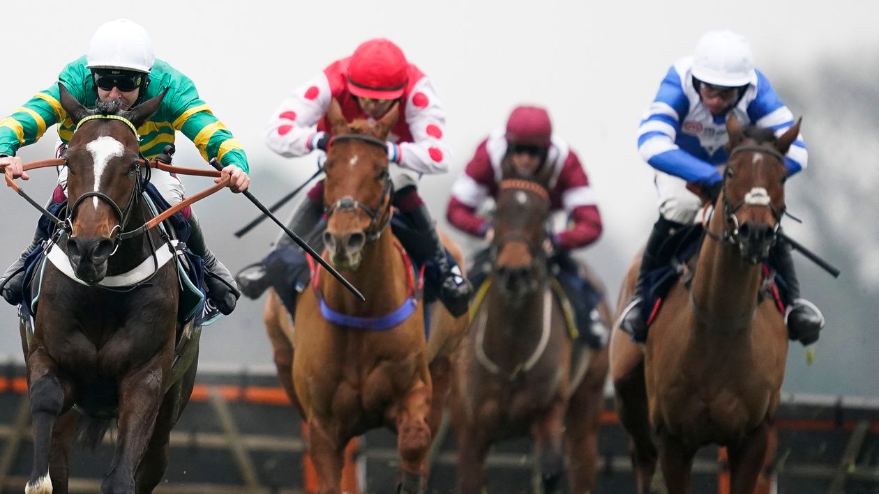 Lorna Fowler putting Colonel Mustard on Champion Hurdle case