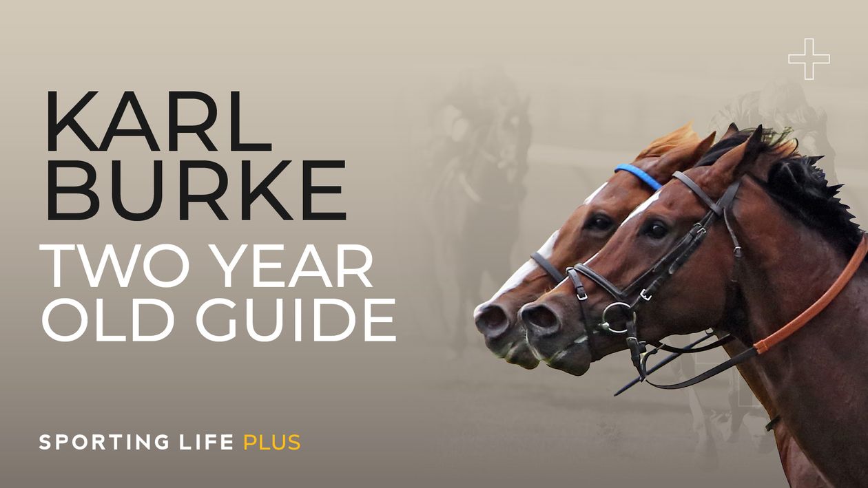 Dan Briden Two-Year-Old Guide: Karl Burke