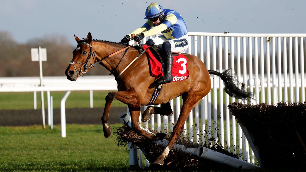 Tripoli Flyer won the Dovecote Novices' Hurdle at Kempton | report and ...