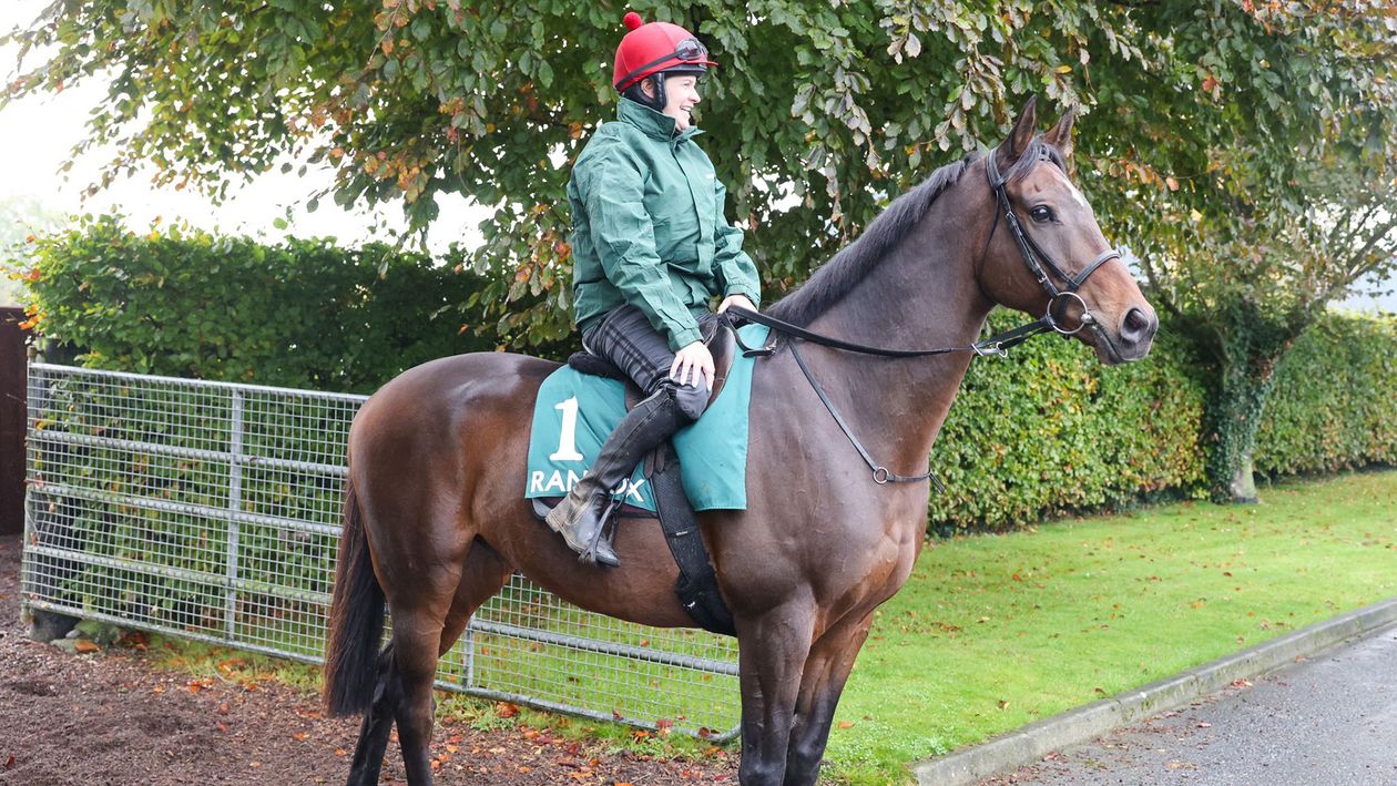 I Am Maximus heading for Grand National campaign as he seeks to repeat ...