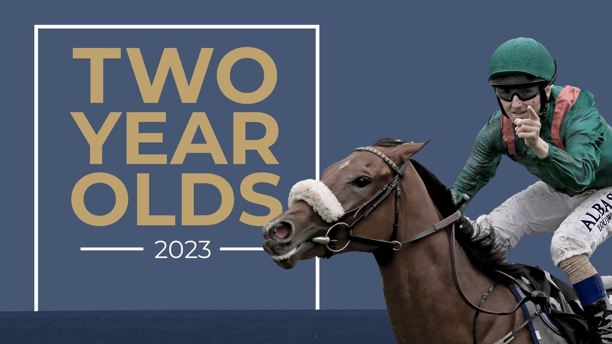 Dan Briden Two-Year-Old Guide: George Boughey