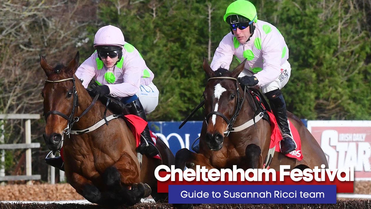 Guide to Susannah Ricci stars at 2020 Cheltenham Festival