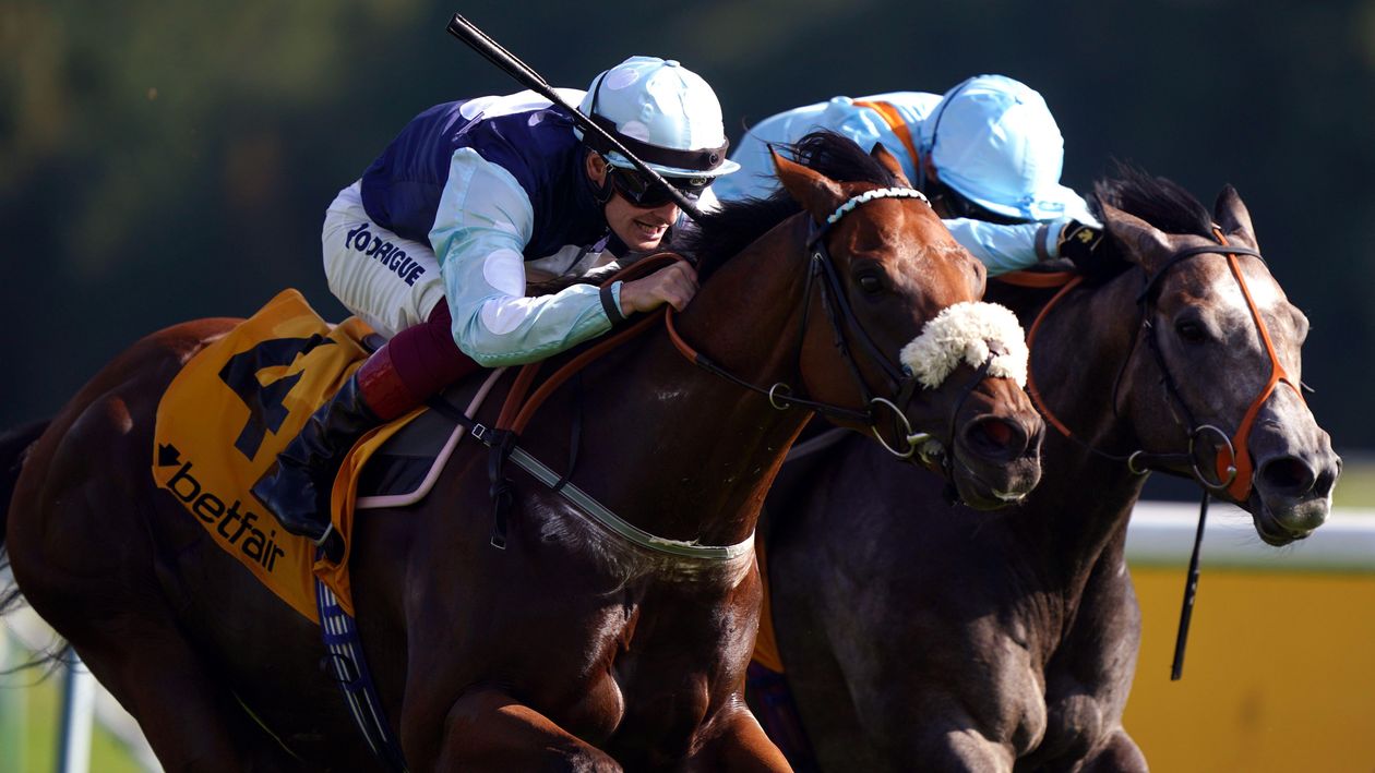 Shouldvebeenaring given Sprint Cup target