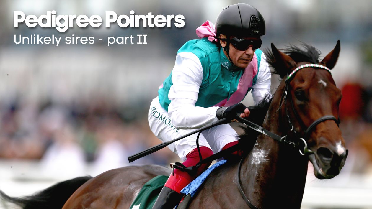 Part Two of Cassie Tully's look at horses who surprisingly excelled as ...