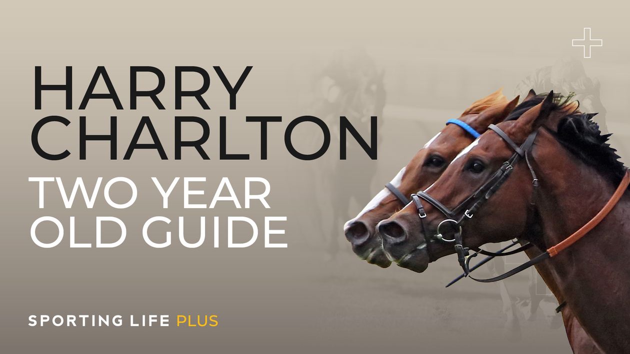 Dan Briden Two-Year-Old Guide: Harry Charlton