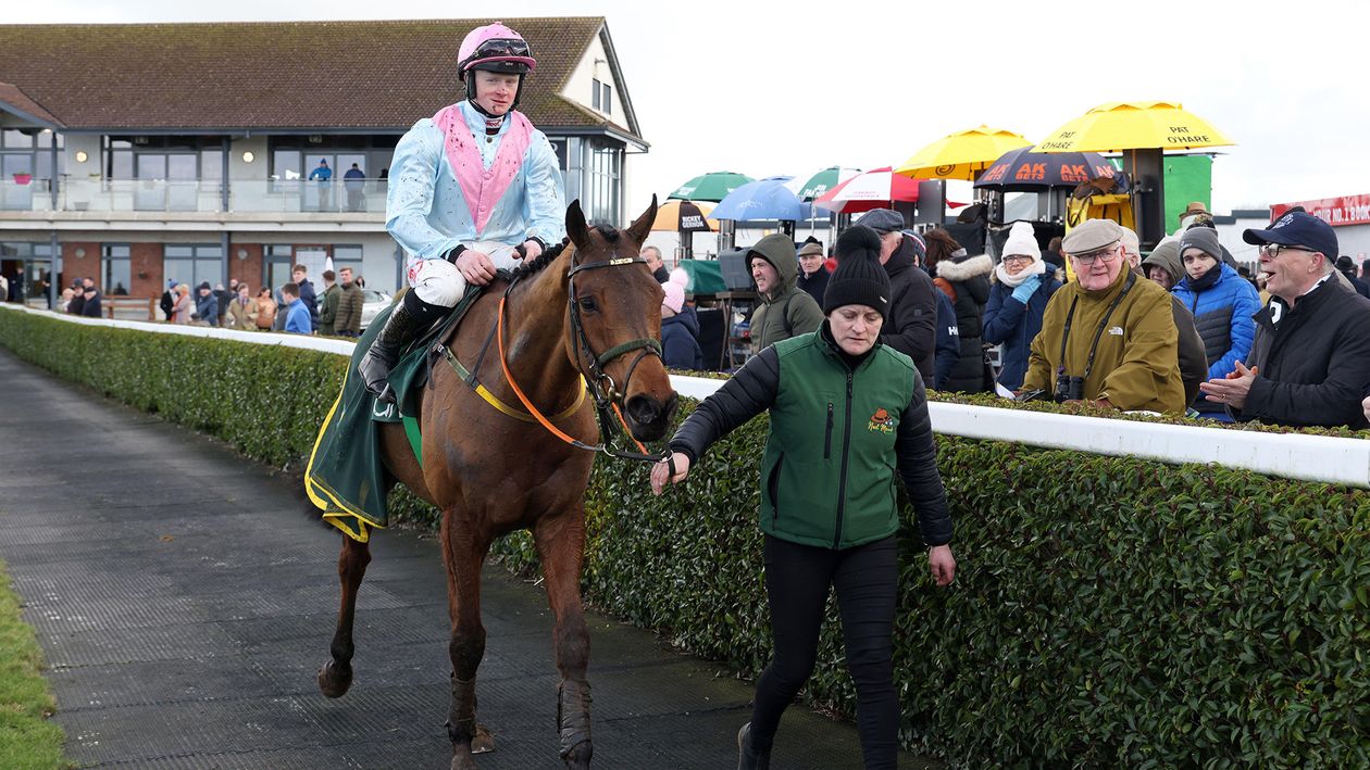 Helvic Dream swoops late to break hurdles duck