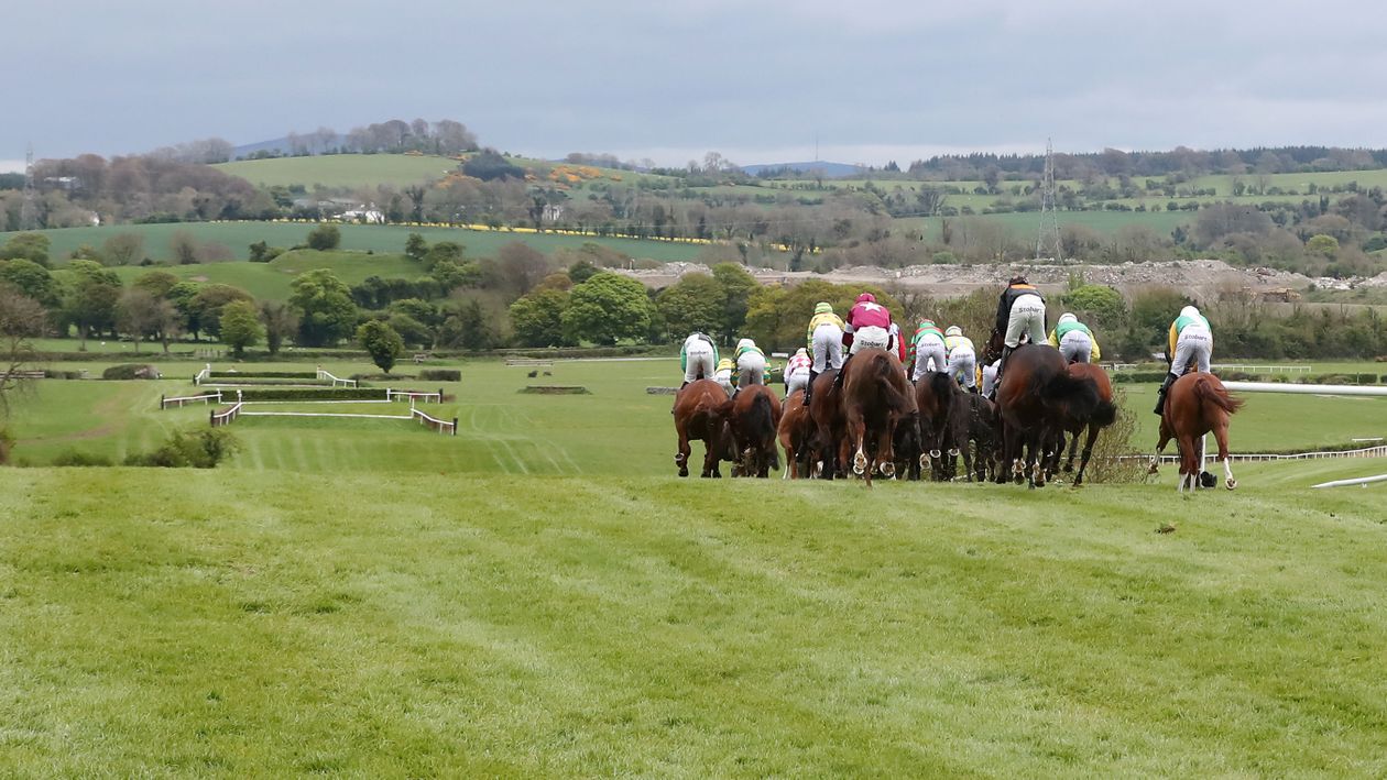 Horse Racing Tips Today: Timeform ratings and Flags for Sunday