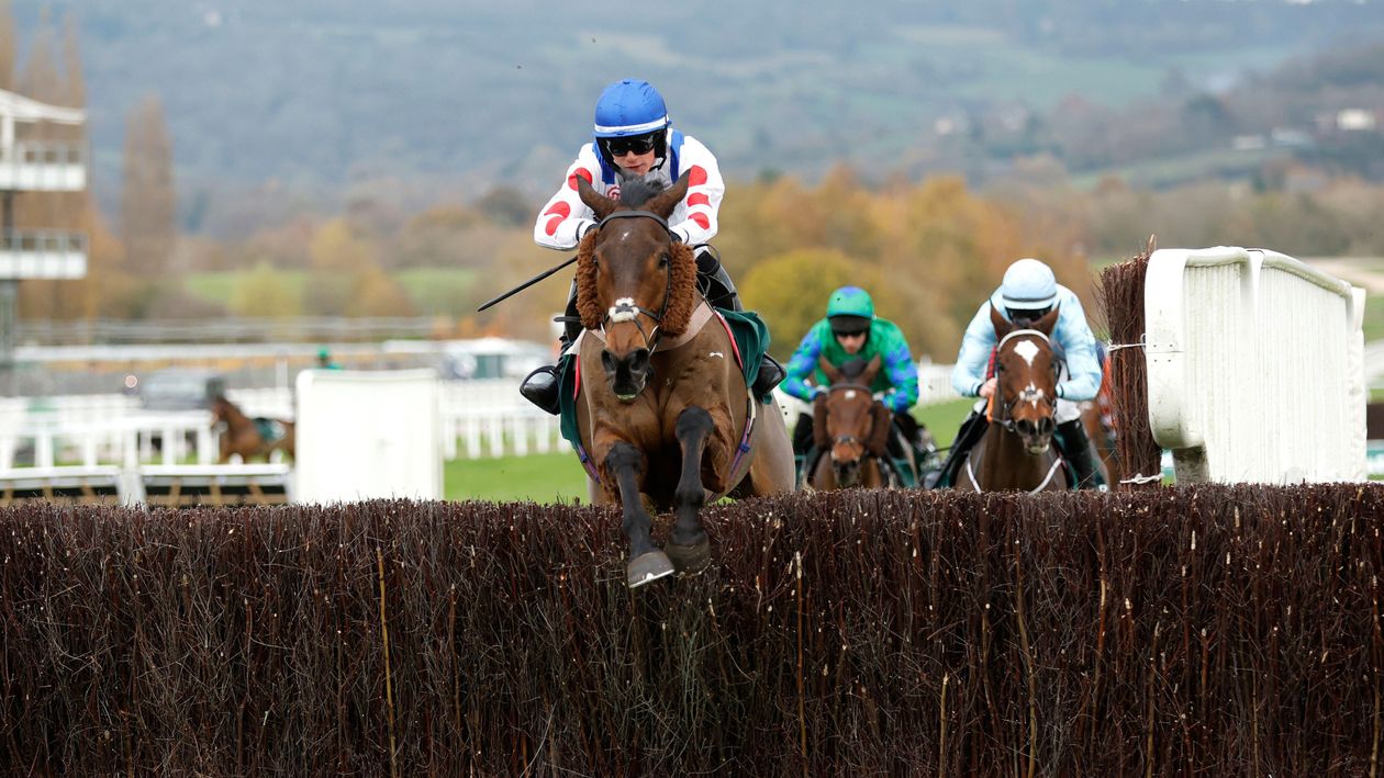 Il Ridoto won the Paddy Power Gold Cup at Cheltenham | report and free ...