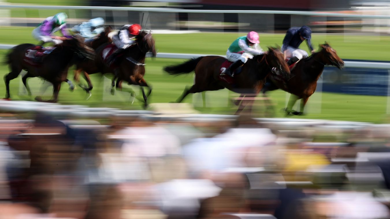 Ralph Beckett Stable Tour including Task Force, Bluestocking, Kinross ...