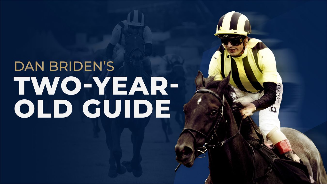 Two-Year-Old Guide: John and Thady Gosden