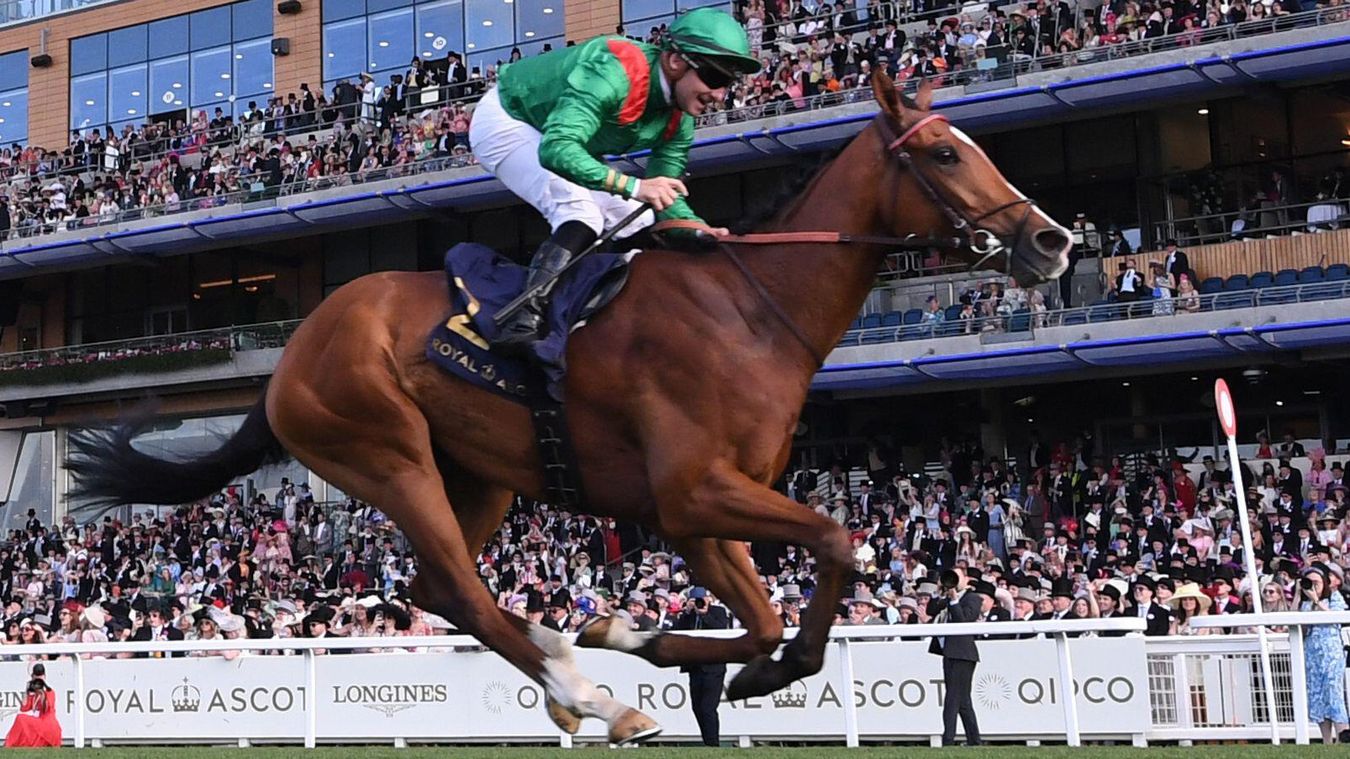 Daryz retains unbeaten record | Calandagan wins Grand Prix de Saint-Cloud