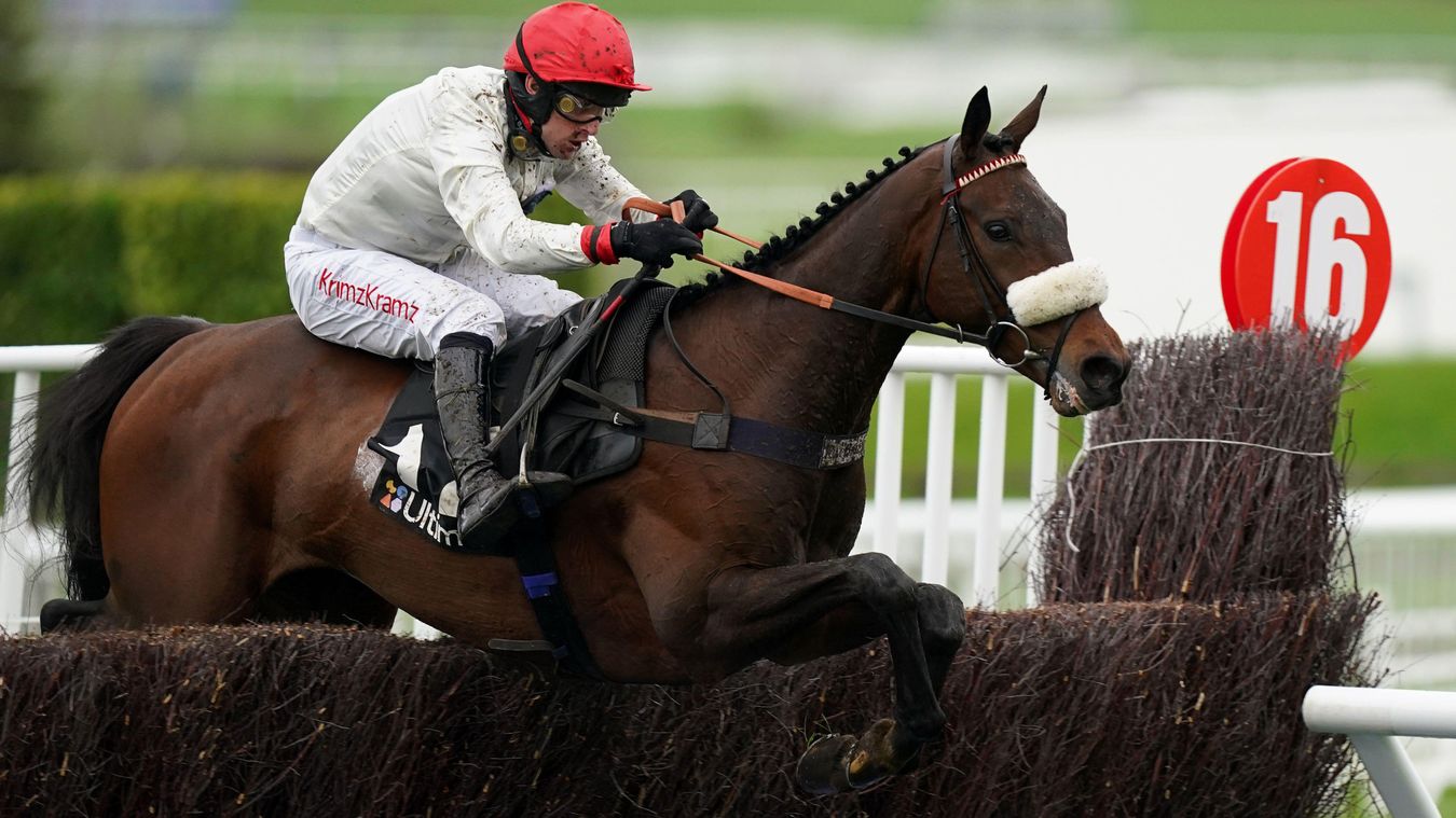 Kim Bailey Stable Tour: 2024/25 Jumps Season Preview