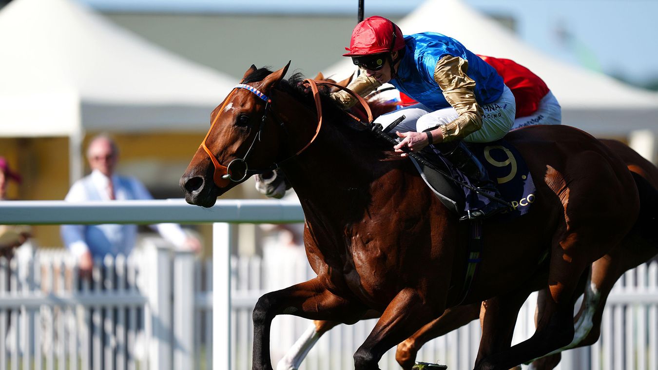 Haatem goes back up in trip at Haydock Park