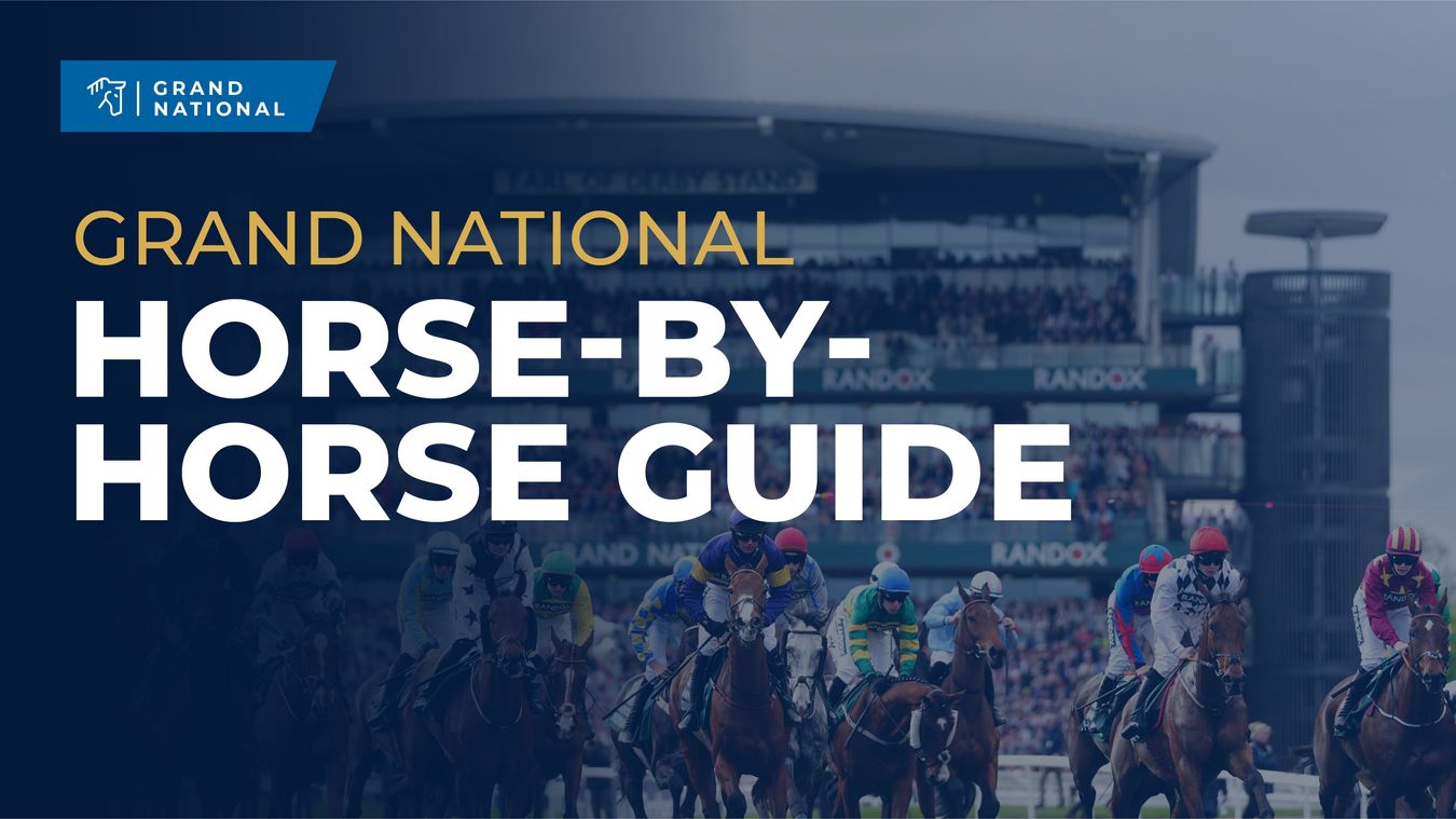 Grand National tips: Full guide to the 2025 Randox Grand National at ...