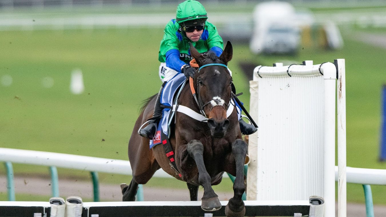 How the novices stack up on Timeform ratings ahead of the Cheltenham ...