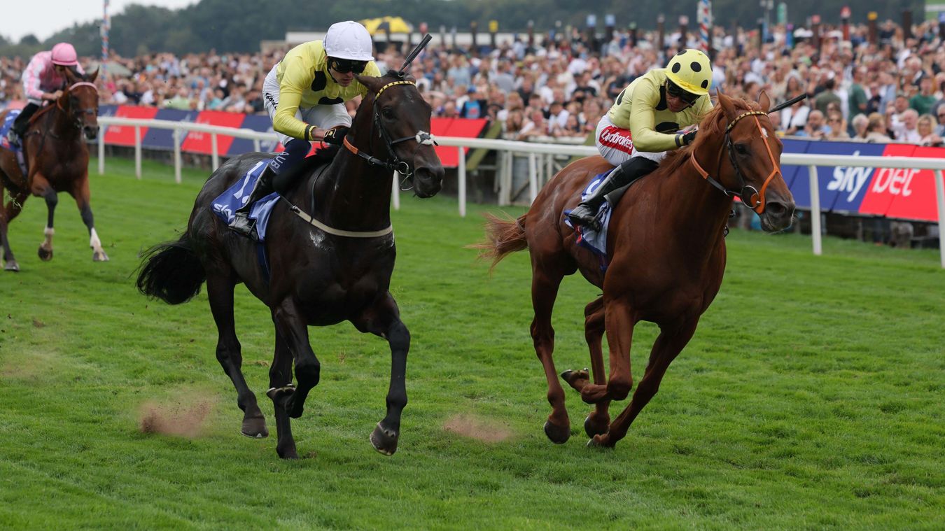 Live racing blog: Trackside Live updates from the Sky Bet Ebor Festival ...