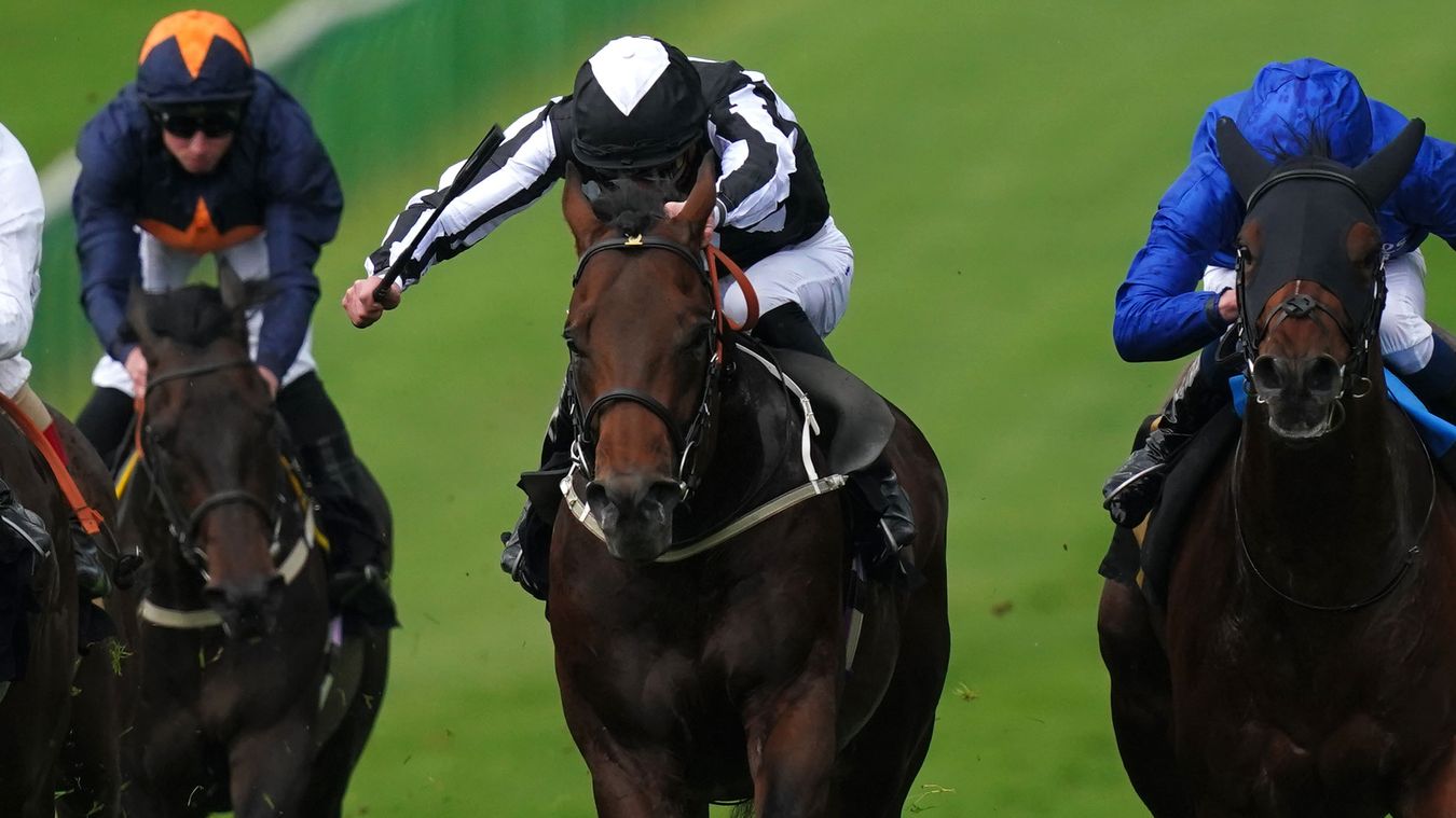 Charlie Johnston stable tour including Dubai Mile, Subjectivist and ...