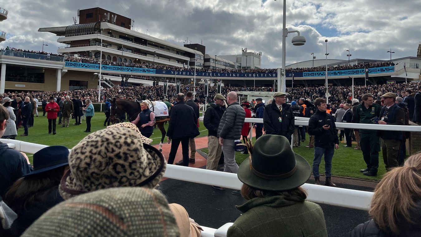 App users: Please use Sporting Life website for race replays due to ...