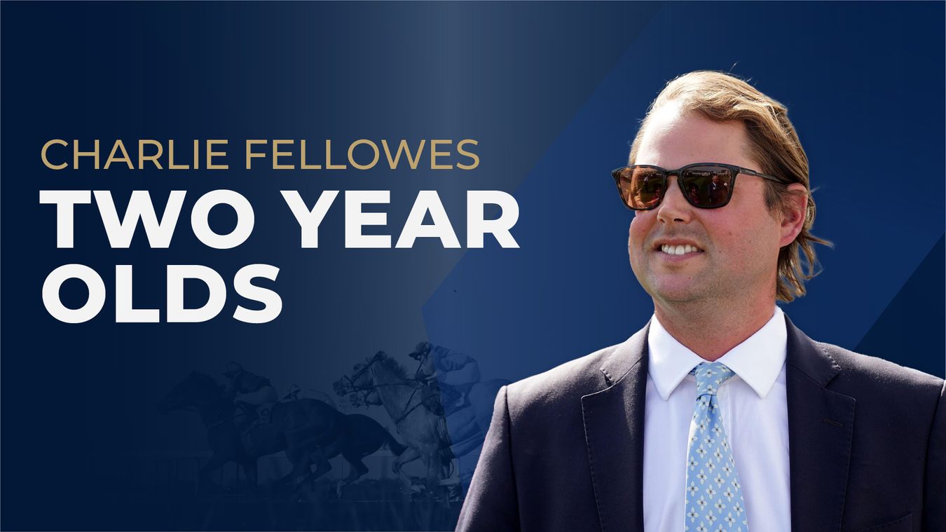 Dan Briden Two-Year-Old Guide: Charlie Fellowes