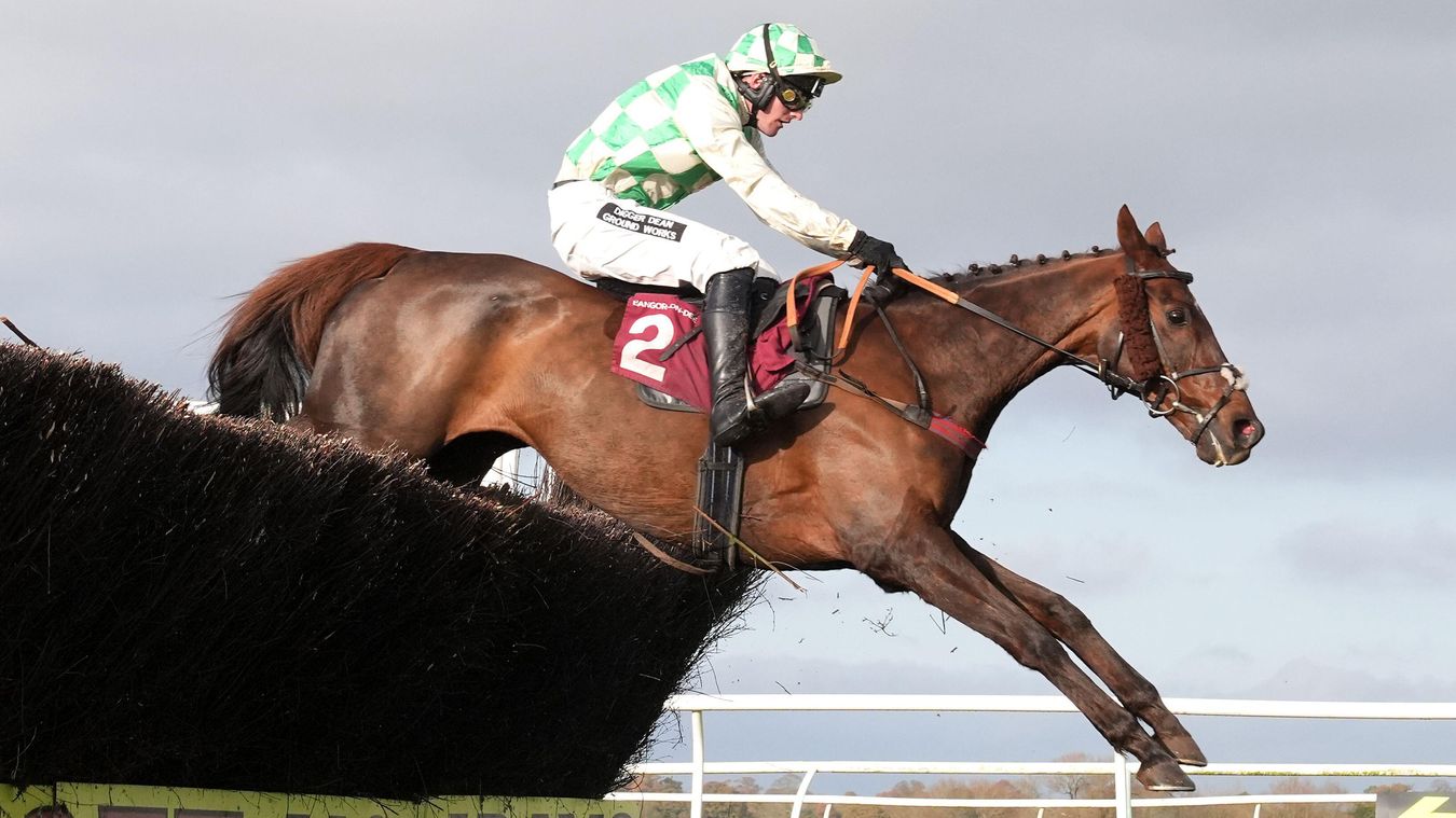 Celebre D'Allen death not directly linked to Grand National as post ...