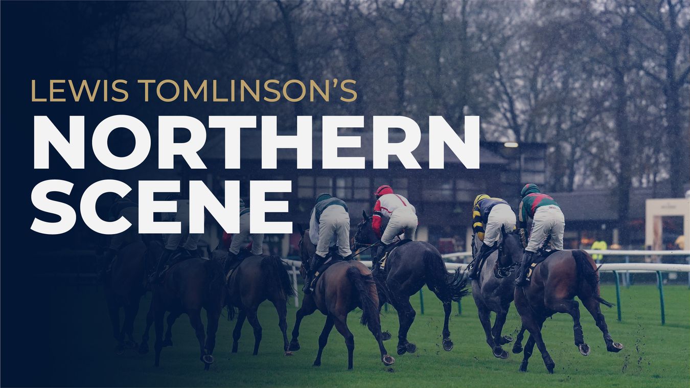 Northern racing: Lewis Tomlinson with his horses to follow including ...