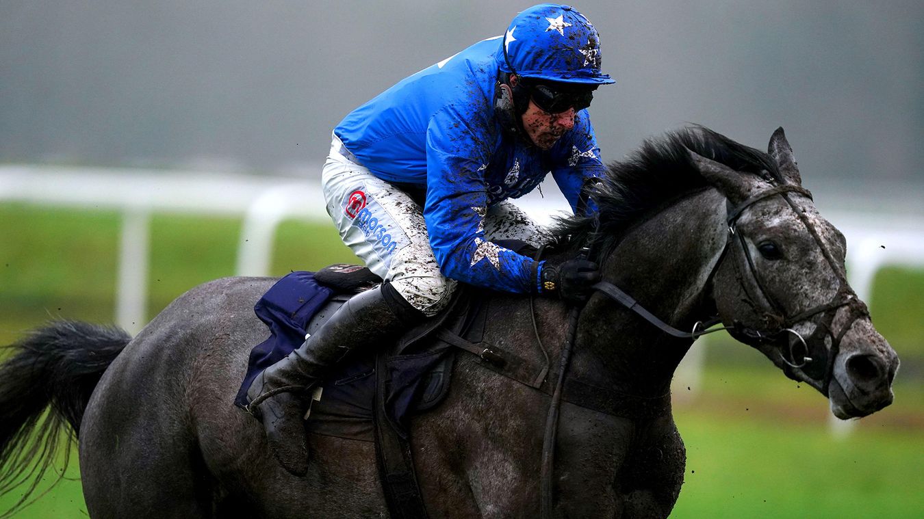 Dan Skelton: Cheltenham Festival Stable Tour including Protektorat ...