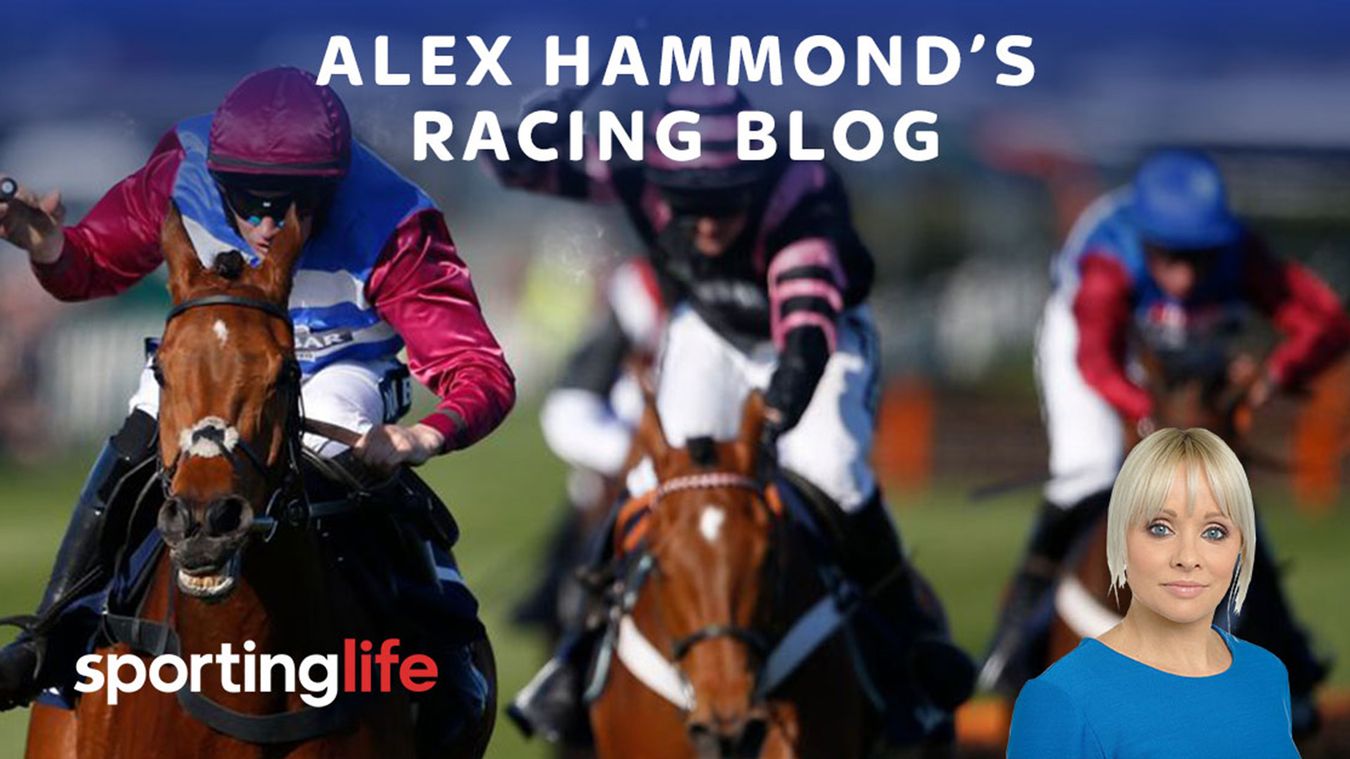 Alex Hammond: All over the Moon! Racing blog ahead of Betfair Super ...