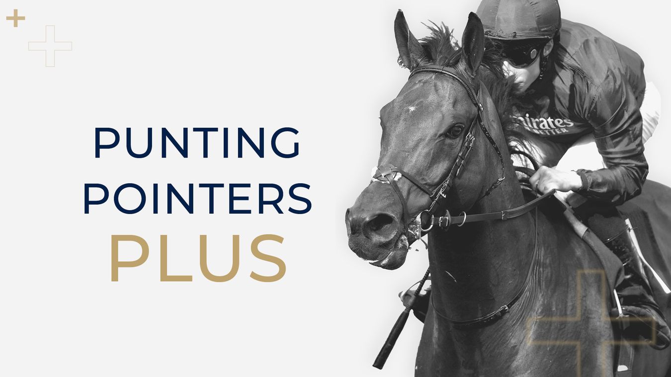 Punting Pointers Plus: Free and exclusive horse racing betting tips