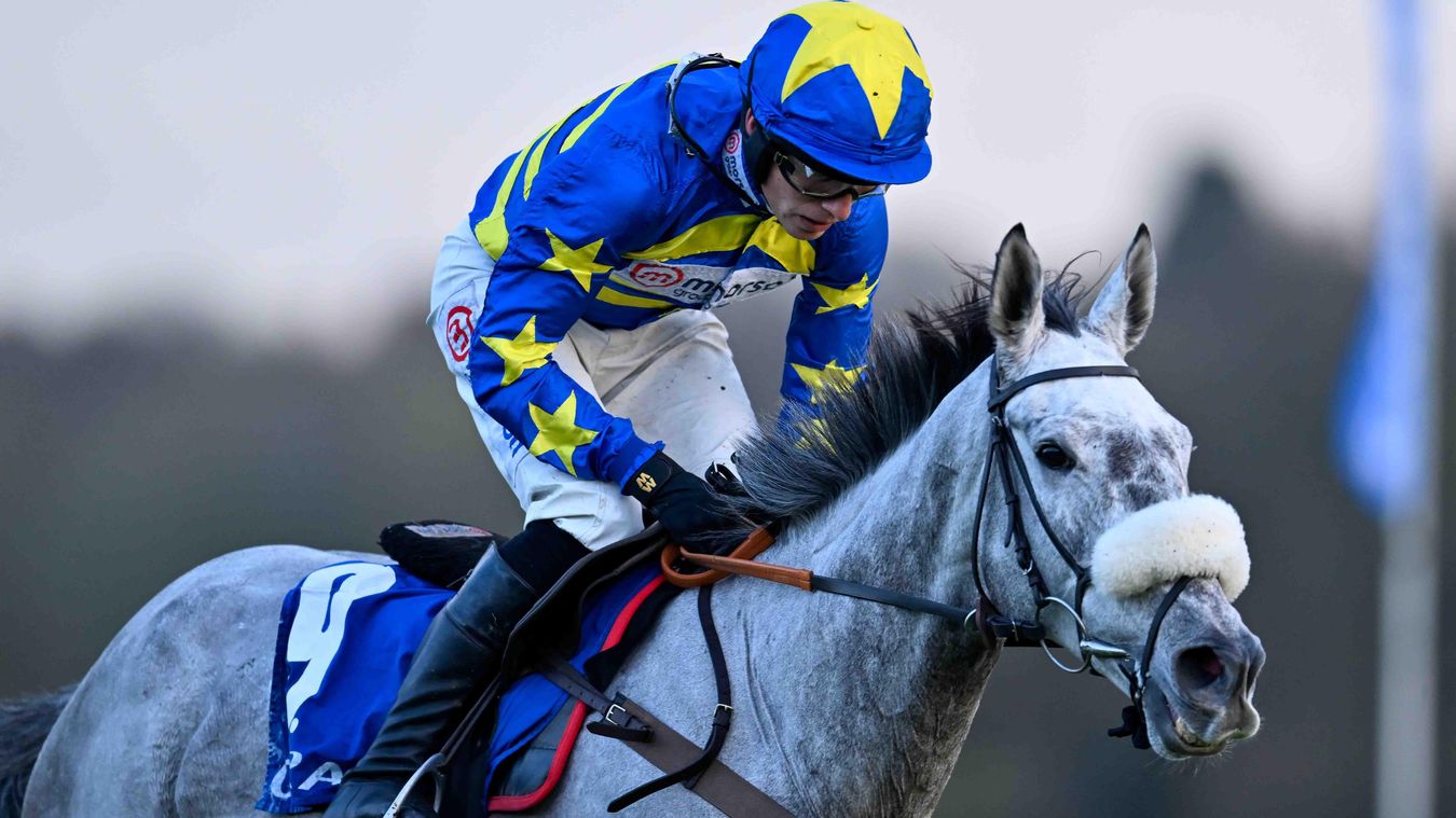 Alex Hammond tips: Racing blog ahead of Dublin Racing Festival