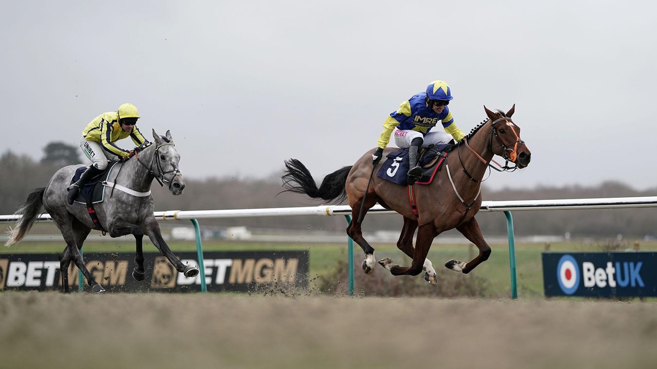 Fergal O'Brien Stable Tour: 2024/25 Jumps Season Preview