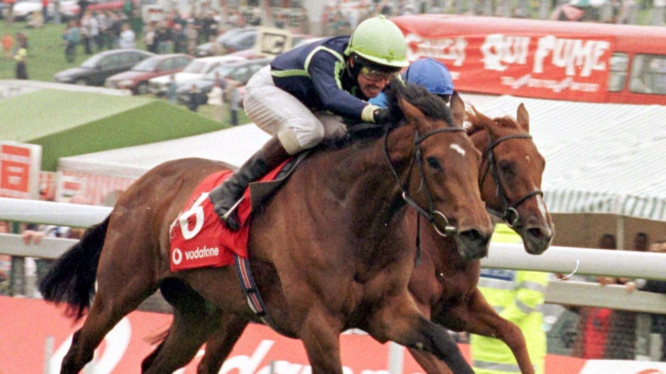 Dan Briden Two-Year-Old Guide: Jack Channon & James Horton