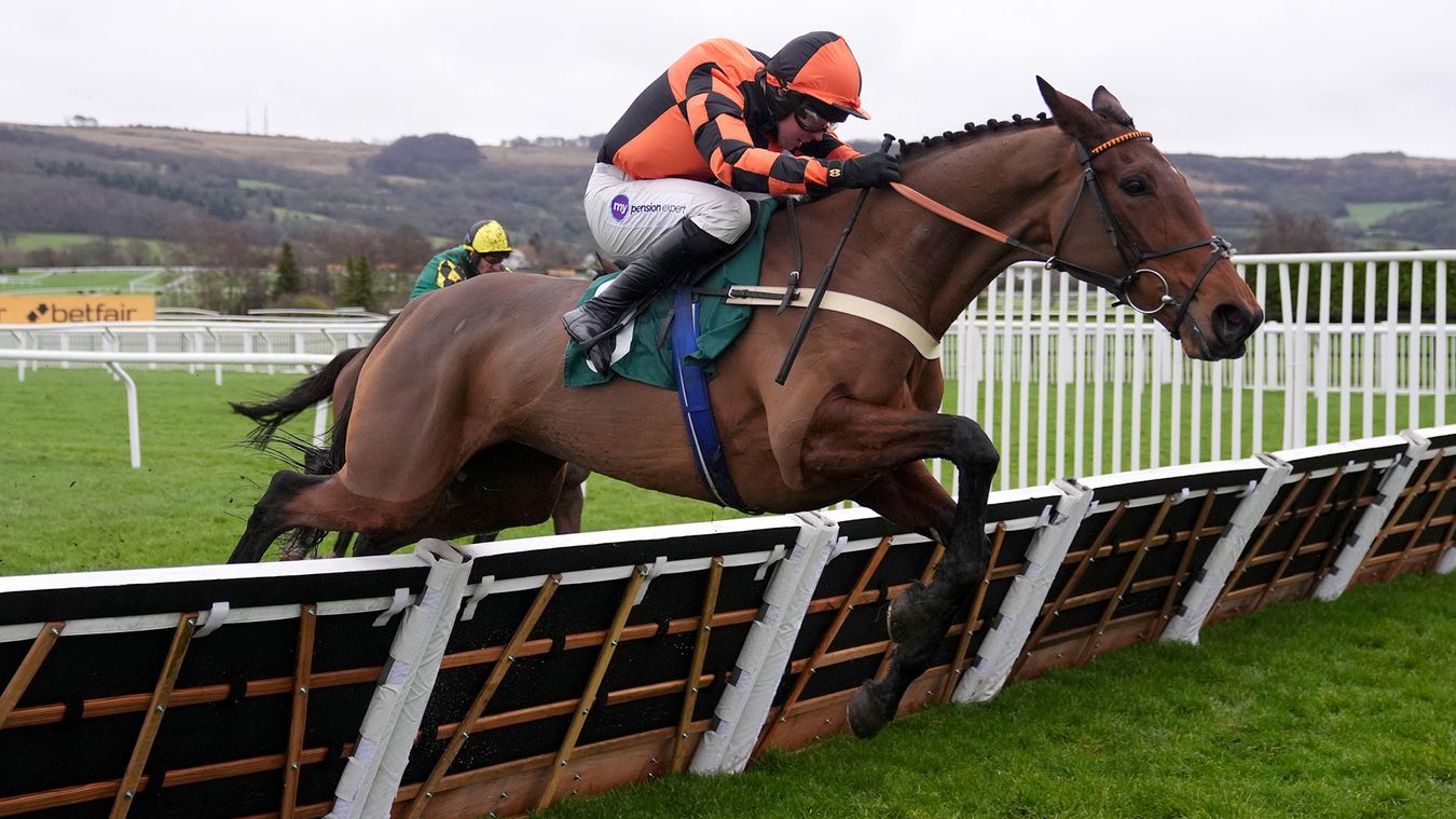 Bangor review and free video replays | Diva Luna impresses on chasing debut